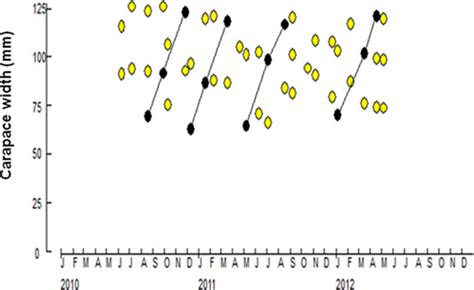 Linking Of Means For Female Crabs Download Scientific Diagram