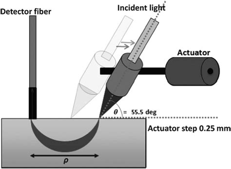 schematic of the probe assembly the digitally controlled actuator