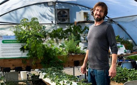 Home Hydroponics A Sustainable Solution To Reduce Co2 Emissions