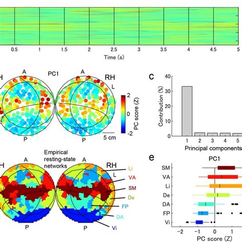 Relative Phases A Time Series Of The Relative Phase B Cortical Download Scientific