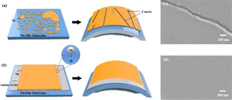 Nano Res [器件]│张新稳教授课题组 化学键锚定银原子生长，实现高性能可拉伸透明电极及有机发光器件 X Mol资讯