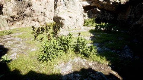 interactive plants with foliage tool for ue5 3dvez r22 in props ue