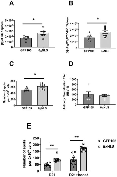 Primary Immunization Combined With Boost Vaccination Results In An