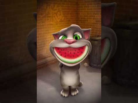 Talking Tom Eating Watermelon Youtube