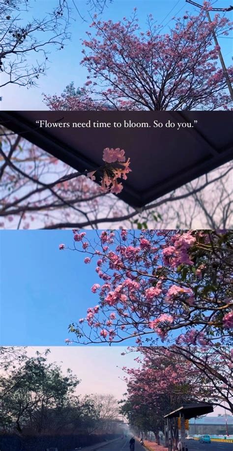 Nadra Raies On Linkedin Gratefulhearts Hardworkpaysoff Achievementunlocked Learnandgrow