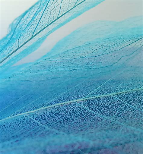 Redmi Note G Xiaomi Global