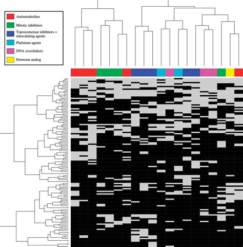 Hierarchical Clustering Of Units That Displayed A Significant Download Scientific Diagram