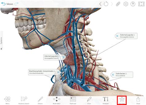 Creating Courseware Assignments Using Custom Content