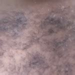 Sexy Hairy Chest Bear S Porn Videos Pornhub