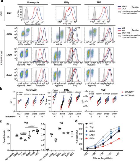 Eif5a Regulates Ifnγ Translation And Cytotoxicity A Facs Dot Plots