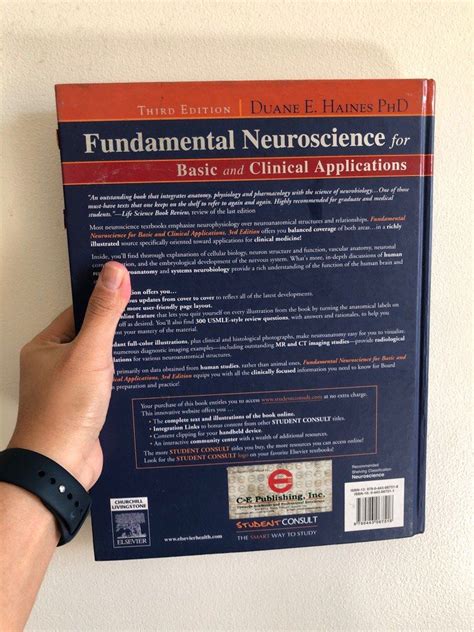 Fundamental Neuroscience For Basic And Clinical Applications Hobbies And Toys Books And Magazines