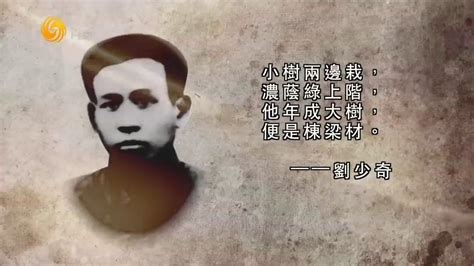 《凤凰大视野》20171006 尊前谈笑人依旧（五）：刘少奇影像记忆 Youtube