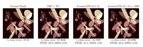B Examples Of Reconstructions Obtained With The Filtered Back Download Scientific Diagram