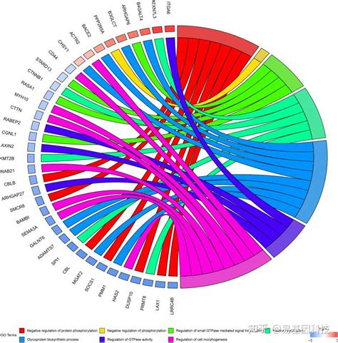 易基因｜典型案例：merip Seq综合分析肺腺癌中的转录组m6a甲基化组 知乎