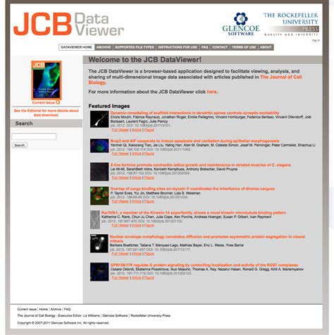 Liza Unson Ui Ux Designer Visual Design Portfolio