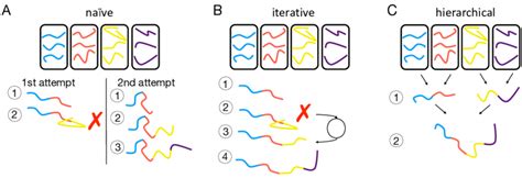 Schematic Of Naive Iterative And Hierarchical Chain Growth The
