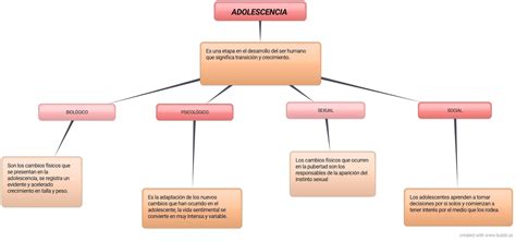 Mapa Conceptual Adolescencia Adolescencia Pubertad Images