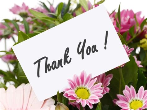 Breeding Methods In Self Pollinated Vegetable Crops Pptx