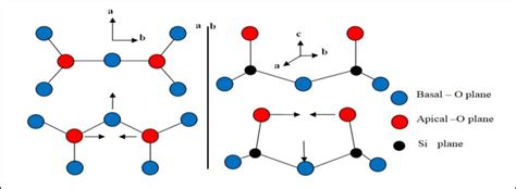 A Rotation B Deflection In Tetrahedrons From Singh 1996 Download Scientific Diagram