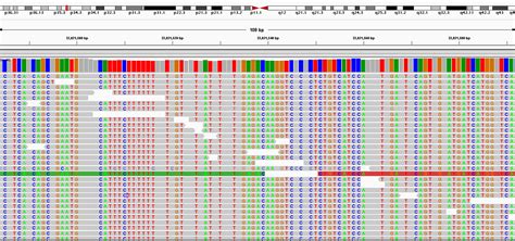 Nice Determination Of Mutation Signature Of High Let Radiation Kildea Lab