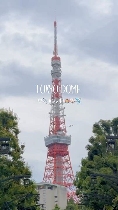 도쿄돔 야구 직관 모아보기 🏟️⚾️ ️ 야구 시즌 시작되니 맘이 또 몽글몽글🫧 도쿄돔 직관은 너무 좋은 추억이어따🥹♡ 요미우리vs야쿠르트 Youtube