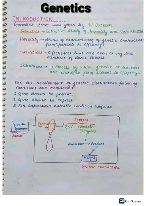 Solution Genetics Biology Notes Studypool