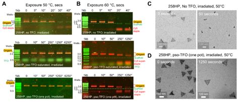 Heat Challenge Of 258hp Origami Subjected To Pso Tfo Driven Download Scientific Diagram