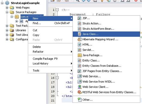 Discuss Java Login Example Using Struts 13