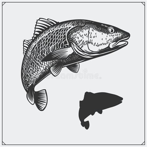 黑色鱼例证红色向量白色 鱼剪影 向量例证 插画 包括有 跳跃 肥腻 向量 海洋 体育运动 图标 84557533