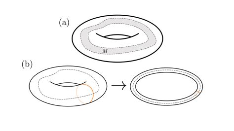 A The Submanifold M Of The Torus Is Topologically Equivalent To A Download Scientific Diagram