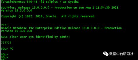 分享一个linux Oracle 19c的安装操作 墨天轮