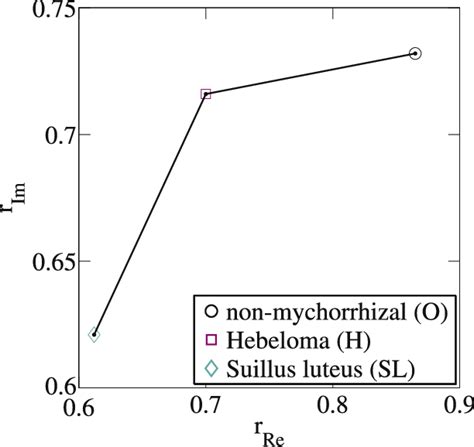 E Relation Between The Correlation Coefficients Of R Im For The