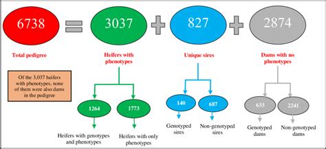5 Data Structure Within The Second Dataset DS 2 HPG Used In The Download Scientific Diagram