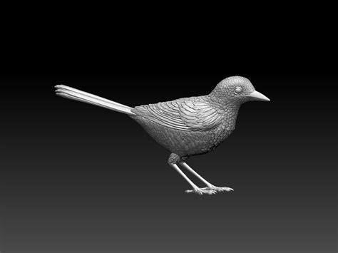 stl file wagtail・3d printable model to download・cults