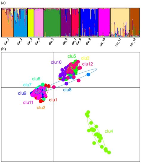 A Clustering Analyses Performed Using Instruct To Determine The Download Scientific Diagram