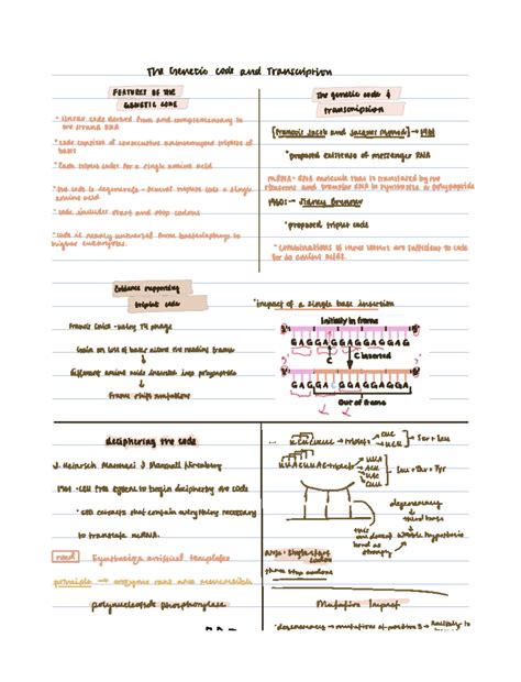 The Genetic Code And Transcription The Genetic Code And Transcription FEATURES OfTHE Studocu