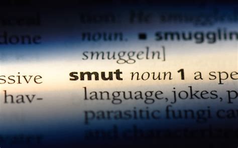 Discovering Smut Book Meaning A Guide To This Steamy Genre
