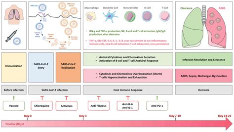 Immune Checkpoint Inhibitors From Cancer To COVID19 A Promising