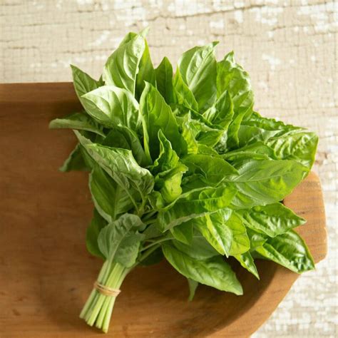 Newton Basil Seeds Bethrat Alhayat بذرة الحياة