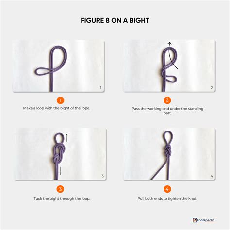 How To Tie A Figure On A Bight Knot Figure Loop Knot