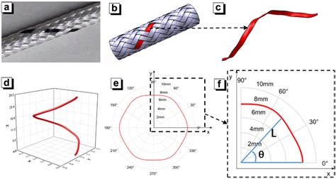 A A 2d Braiding Rod Preform And B A Model With A Highlighted Tracing Download Scientific