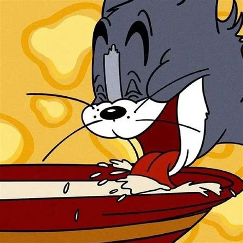 102张猫和老鼠情侣头像 知乎