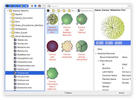New Plant Representation Options In Vectorworks Landmark