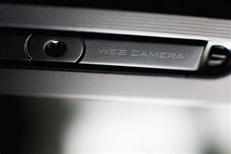 Now Somebody Can Have Virtual Sex With A Model That Looks Like You Bird In Flight