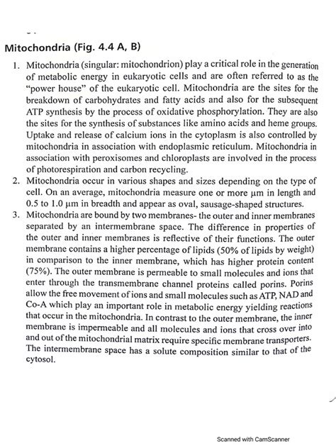 Electron Micrographs Pdf