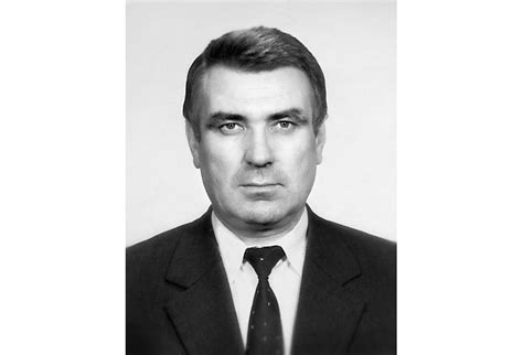 Algirdas Navickas Visuotinė Lietuvių Enciklopedija