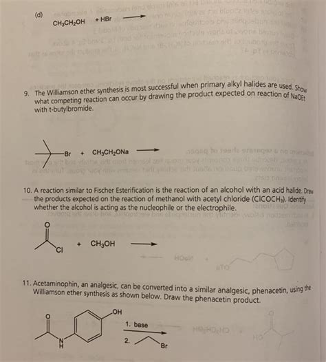Solved Questions Identify The Nucleo On Below Identify The