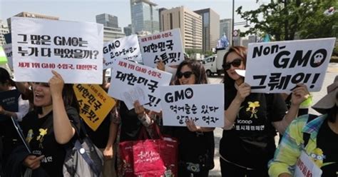 Gmo완전표시제 사료는 되고 식품은 안 되고