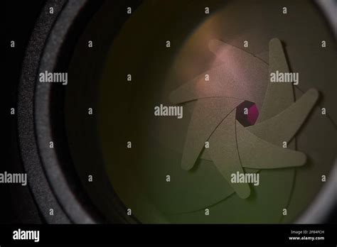 Iris Diaphragm Anatomy