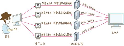 华安解密之ddos攻防 03 Dns原理篇 Dns Reply Flood